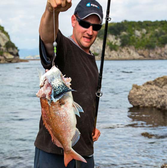 Finding snapper off the rocks - The Fishing Website