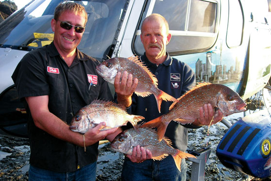 Do snapper shrink? - The Fishing Website