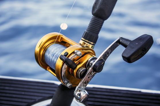 Top 5 items to take fishing - The Fishing Website