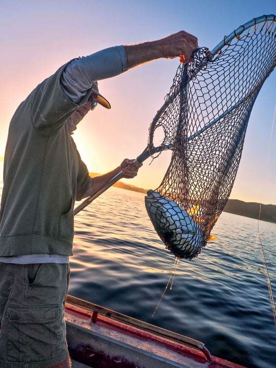 Best salt water fly fishing lure - The Fishing Website