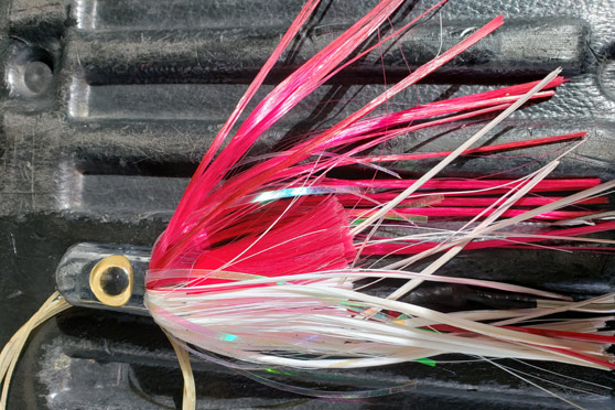 First Rarortongan grander - The Fishing Website