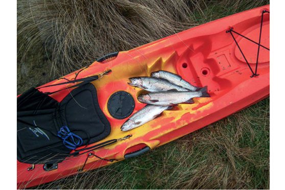 Cromwell and Lake Dunstan - The Fishing Website