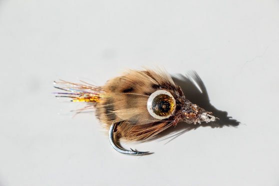 Best salt water fly fishing lure - The Fishing Website