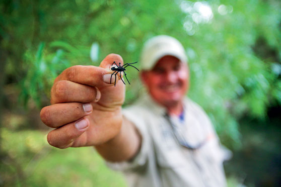 Fly fishing - 3 basic insect patterns - The Fishing Website
