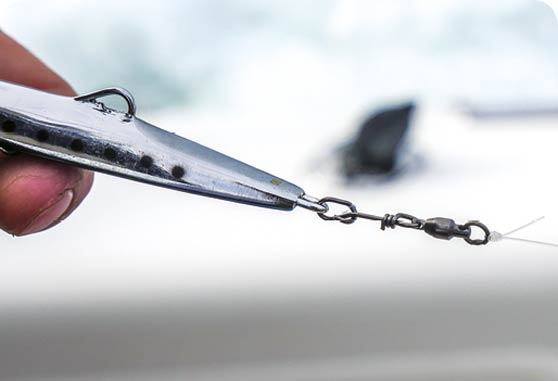 What rigs to use when fishing - The Fishing Website