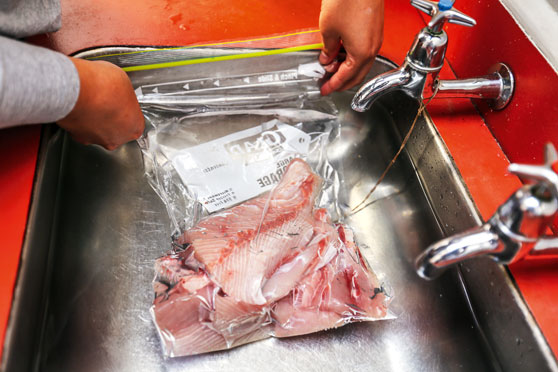 Best ways to freeze your fish - The Fishing Website