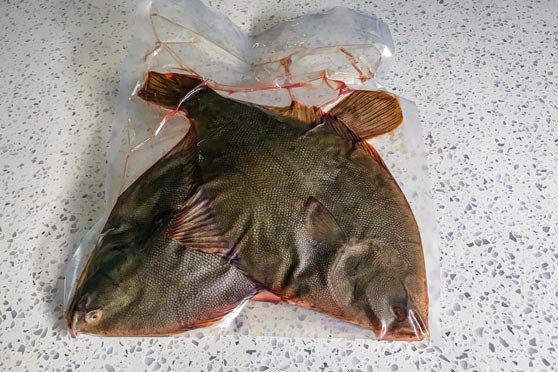 Best ways to freeze your fish - The Fishing Website