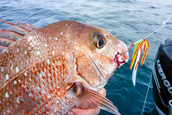 Black Magic tackle review - The Fishing Website