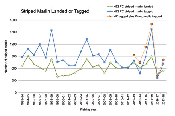 Striped marlin tagging numbers down last season - The Fishing Website