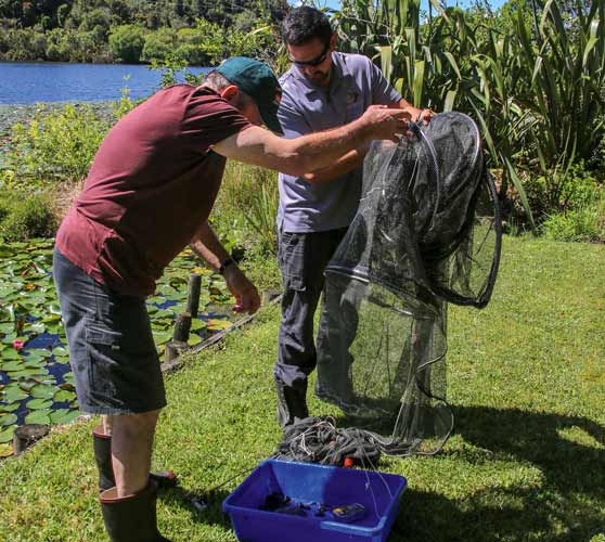 Catfish - the pest destroying our lakes and rivers - The Fishing Website