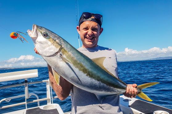 Work up fishing for kingfish - The Fishing Website