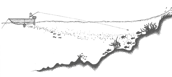 Berley Basics For Snapper Fishing - The Fishing Website