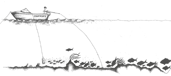 Berley Basics For Snapper Fishing - The Fishing Website