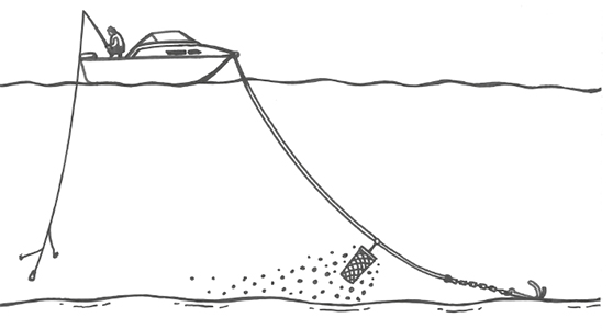 Berley Basics For Snapper Fishing - The Fishing Website