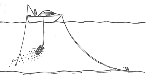 Berley Basics For Snapper Fishing - The Fishing Website