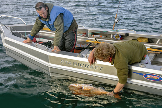 Techniques for releasing fish caught from deep water - The Fishing Website
