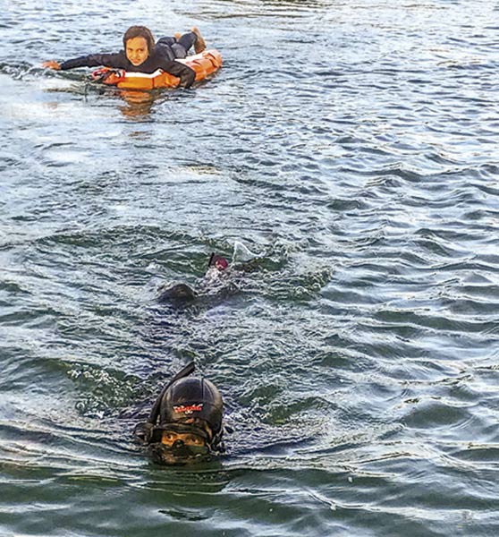 Diving for parore in Tauranga - The Fishing Website