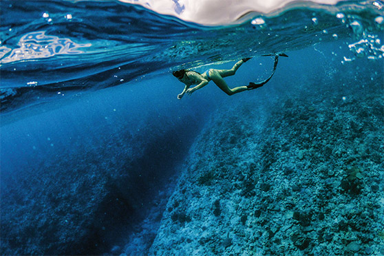 What it's like to dive in Rarotonga - The Fishing Website