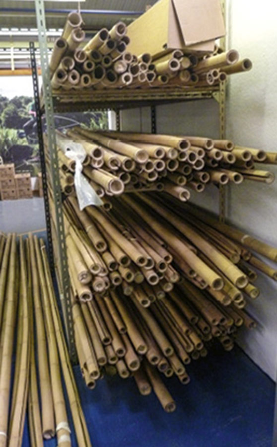 The evolution of fishing rods - The Fishing Website