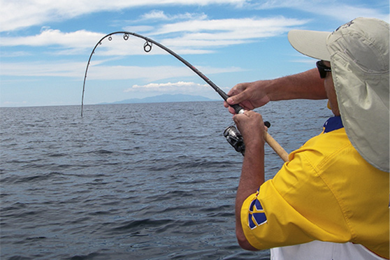 The evolution of fishing rods - The Fishing Website