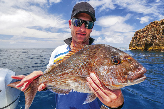 How much are our fish worth? - The Fishing Website