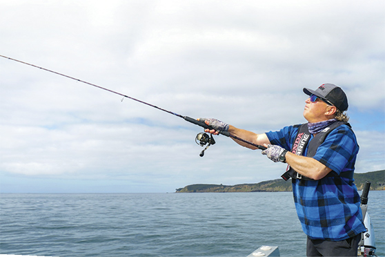 Selecting leader and trace - Part 3 - The Fishing Website
