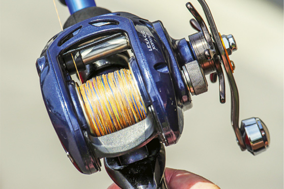 The joys of light tackle fishing - The Fishing Website