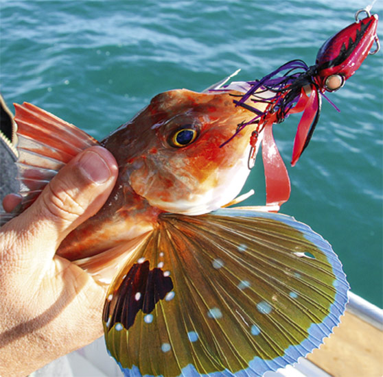 How Important Is Fishing Lure Colour? - The Fishing Website