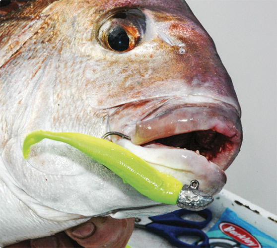 How Important Is Fishing Lure Colour? - The Fishing Website