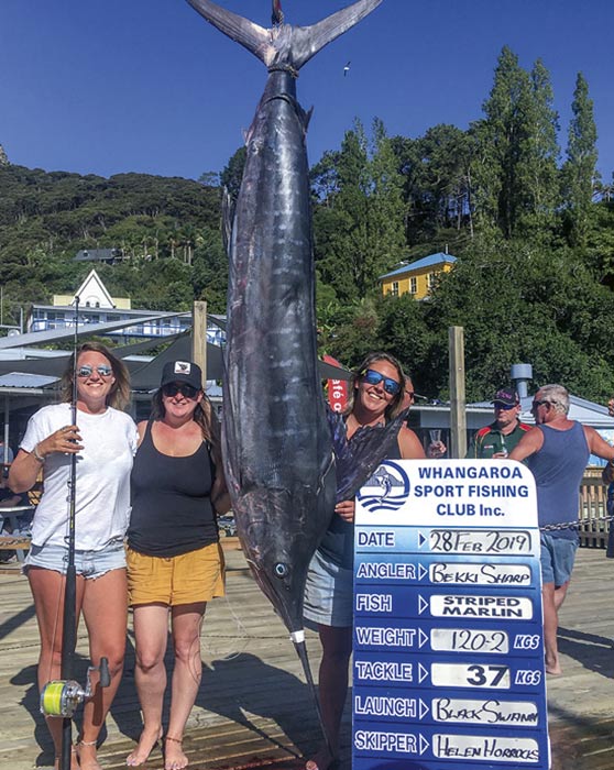 Catching a marlin from a yacht - The Fishing Website