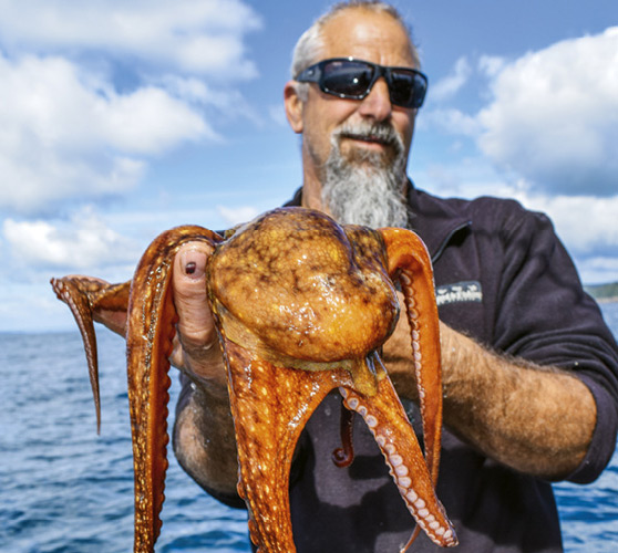 New Zealand Reef fish - The Fishing Website