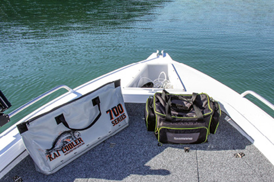 Quintrex Renegade 420 TS Review - The Fishing Website