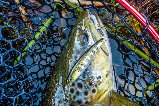 Netting and gaffing your catch - The Fishing Website