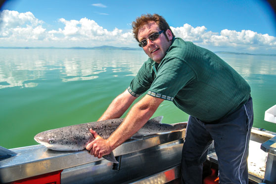 Netting and gaffing your catch - The Fishing Website