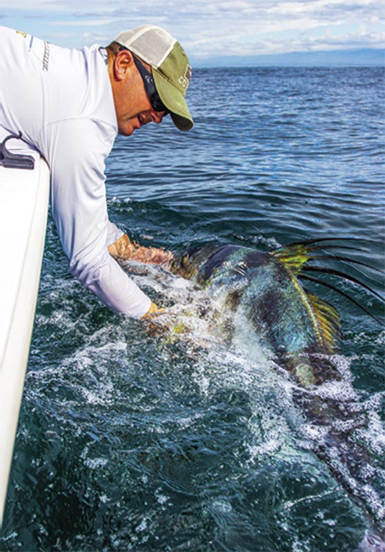 Where And How To Catch Roosterfish - The Fishing Website