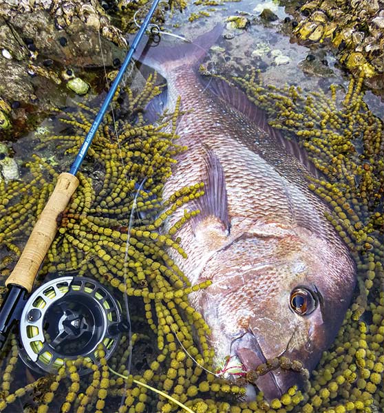 Flyfishing with rubber legs - The Fishing Website