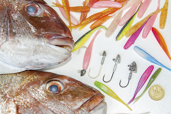 Small Baits Tips for NZ Inshore Species - The Fishing Website
