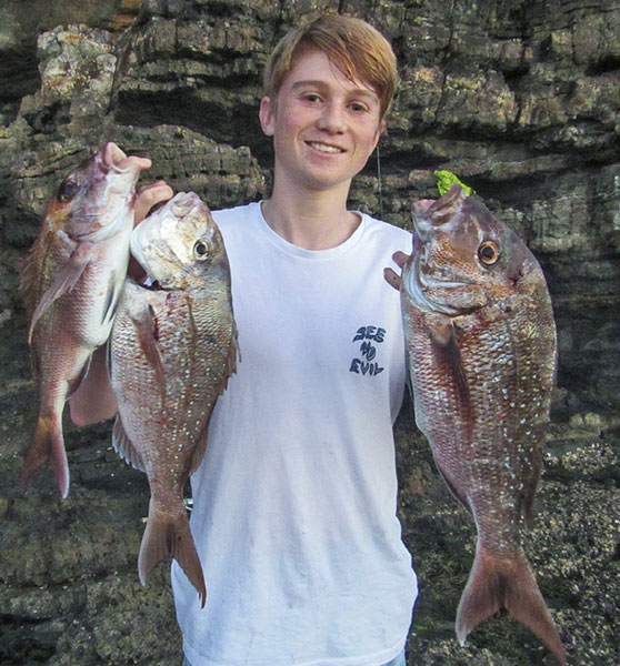 Catching snapper using both saltwater flies and bait - The Fishing Website