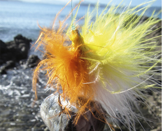 Catching snapper using both saltwater flies and bait - The Fishing Website