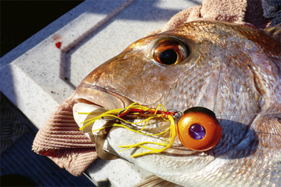 Catching Big Snapper Near Work-ups - The Fishing Website