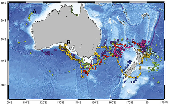 Catching And Identifing Southern Bluefin Tuna - The Fishing Website