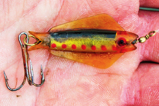 Ten Top Tips for Fishing Success - The Fishing Website