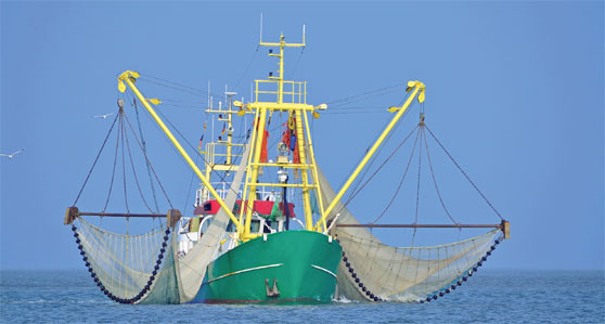 How WASSP is making a major contribution to sustainability - The ...