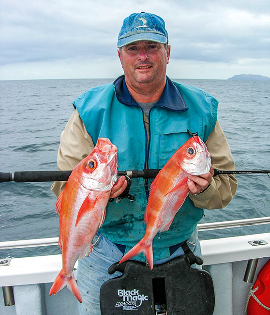 Weird and wonderful saltwater fish - Part 1 - The Fishing Website