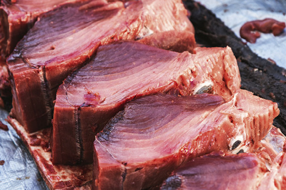 Southern Bluefin Tuna - Waihau Bay - The Fishing Website