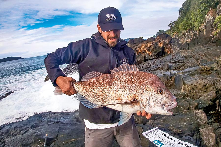 The 20lb Hunt: Part 2 - The Fishing Website