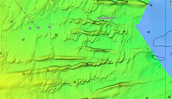 CMAP Reveal Review - The Fishing Website