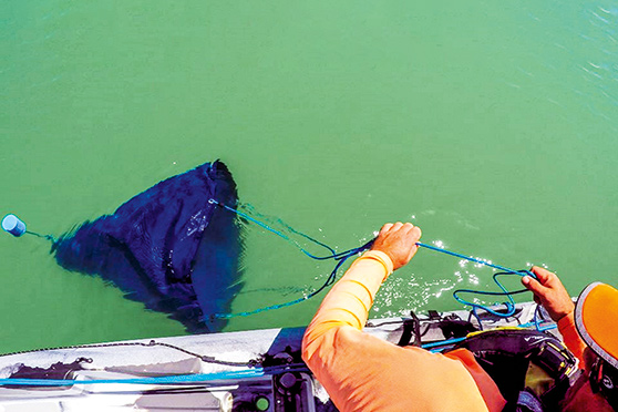 A Beginner's Guide to Kayak Fishing: Part 2 - The Fishing Website