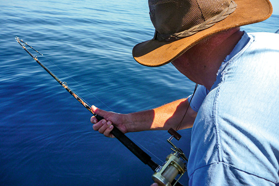 Best Tactics for Landing Big Fish - The Fishing Website