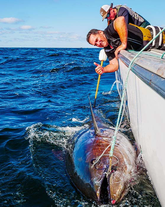 Chasing Atlantic Bluefin Tuna - The Fishing Website